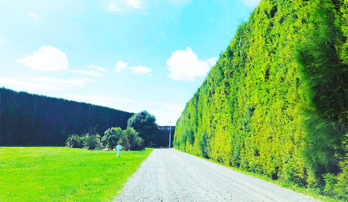 Limestone Driveway – Pros, Cons and Installation Guide