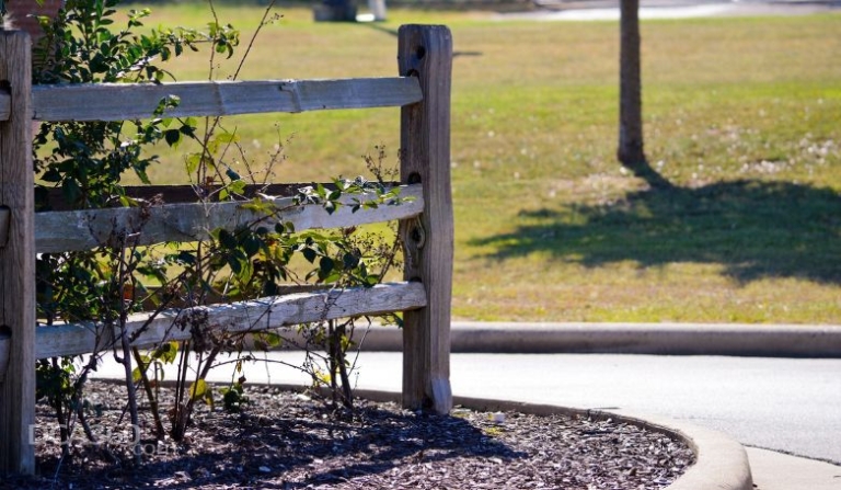 Driveway Edging — 10 Ideas that Will Transform Your Space